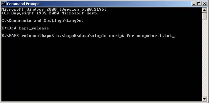 Parallel computation for BAPS 5.1